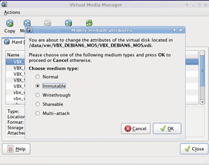 Easily Backup Virtualbox disks using Immutable Images - pontikis.net