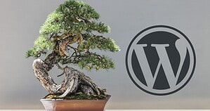 How to Create Custom Endpoints in WordPress REST API (with live example) - pontikis.net